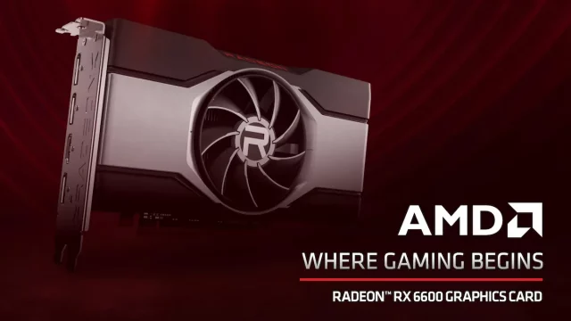 AMD Radeon RX 6600 - WEMEDIA
